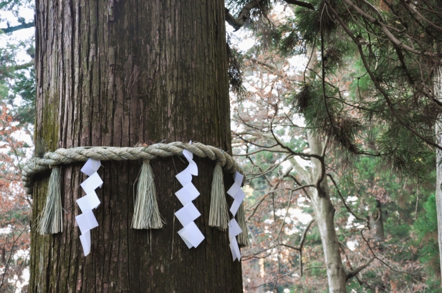 Why Do Japanese Bow? Reverence and Humility - JAPAN UNKNOWN