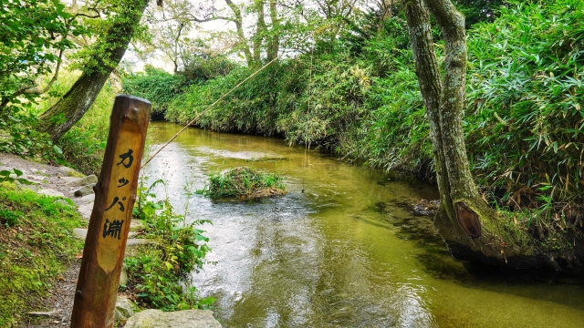 Kappa: Unraveling the Mystery of Japan’s Water Spirit Yokai - JAPAN UNKNOWN