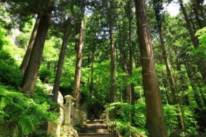 Matsuo Bashō – The Solitary Poet Who Perfected the Art of Haiku - JAPAN ...